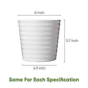 Brajttt Flower Pots,6 Inch Succulent Pots with Drinage,Indoor Round Planter Pots with Saucer,White Cactus Planters with Hole,Outdoor Graden Pots 4 Pack