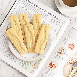 Human Spine cookie cutter, 1 piece - Bakerlogy