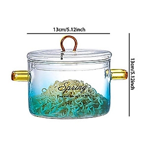 Glass Saucepan with Cover, 900ml Heat-Resistant Glass Stovetop Pot and Pan with Lid, The Best Handmade Glass Cookware Set Cooktop Safe for Pasta Noodle, Soup, Milk, Baby Food