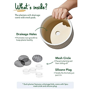 LE TAUCI Succulent Pots, 6.5+8 Inch Ceramic Indoor Plant Pot with Drainage Hole, Modern Round Decorative Flower Pot, Gifts for Mom, Set of 2, Matte White