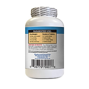 Dog Joint Supplement with tumeric - Pets Turmeric Joint Health Complex - with MSM - Dogs and Cats - Hip AID - Dog Turmeric Chews Organic - 2 Bottles (120 Tablets)
