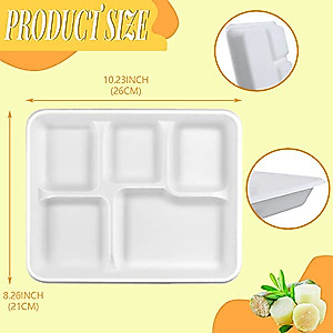 Vmiapxo 50 Pack Natural Bagasse Fiber Paper Food Trays,10"x 8",5 Compartment Dinner Tray School Lunch Divided Paper Plates Holders Buffet Party Serving Supplies (White)