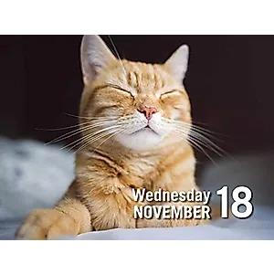 Cats 2020 Mini Day-to-Day Calendar