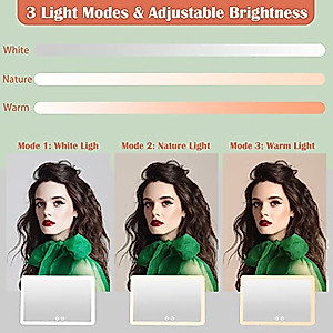 KuMers Plus Size Travel Makeup Bag with Large Lighted Mirror, Makeup Cosmetic Train Case with Detachable Mirror and Light Waterproof Artist Organizer with Adjustable Dividers Gift for Women (Pink)