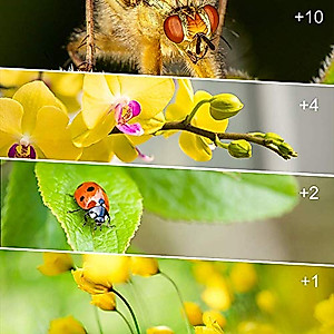 58mm Close-up Filter Kit 4 Pieces(+1,+2,+4,+10) Macro Filter Accessory Close-up Lens Filter Kit Set with Lens Filter Pouch for Canon Nikon Sony Pentax Olympus Fuji DSLR Camera+Lens Cap