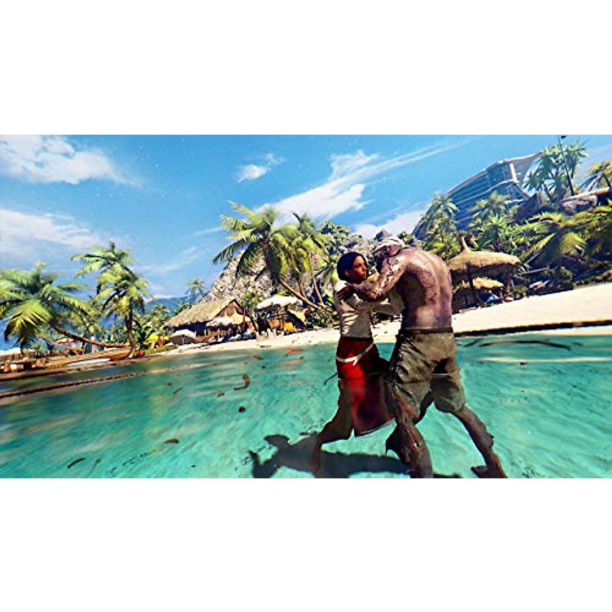 Dead Island Definitive Edition Collection (PS4)
