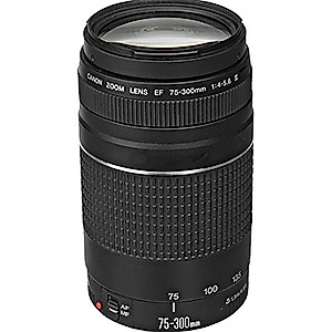 Canon EOS RP Mirrorless Camera with RF 24-105mm f/4-7.1 is STM Lens + 75-300mm III Lens, Accessories Including: 2X 64GB Memory Cards, LED Video Light, Microphone, Extra Battery, Case & More (Renewed)