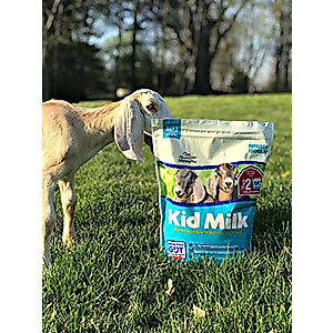 Manna Pro Milk Replacer with Probiotics for Goat Kids | High in Protein to Support Growth | Supports Gut Health and Digestion | 4lbs