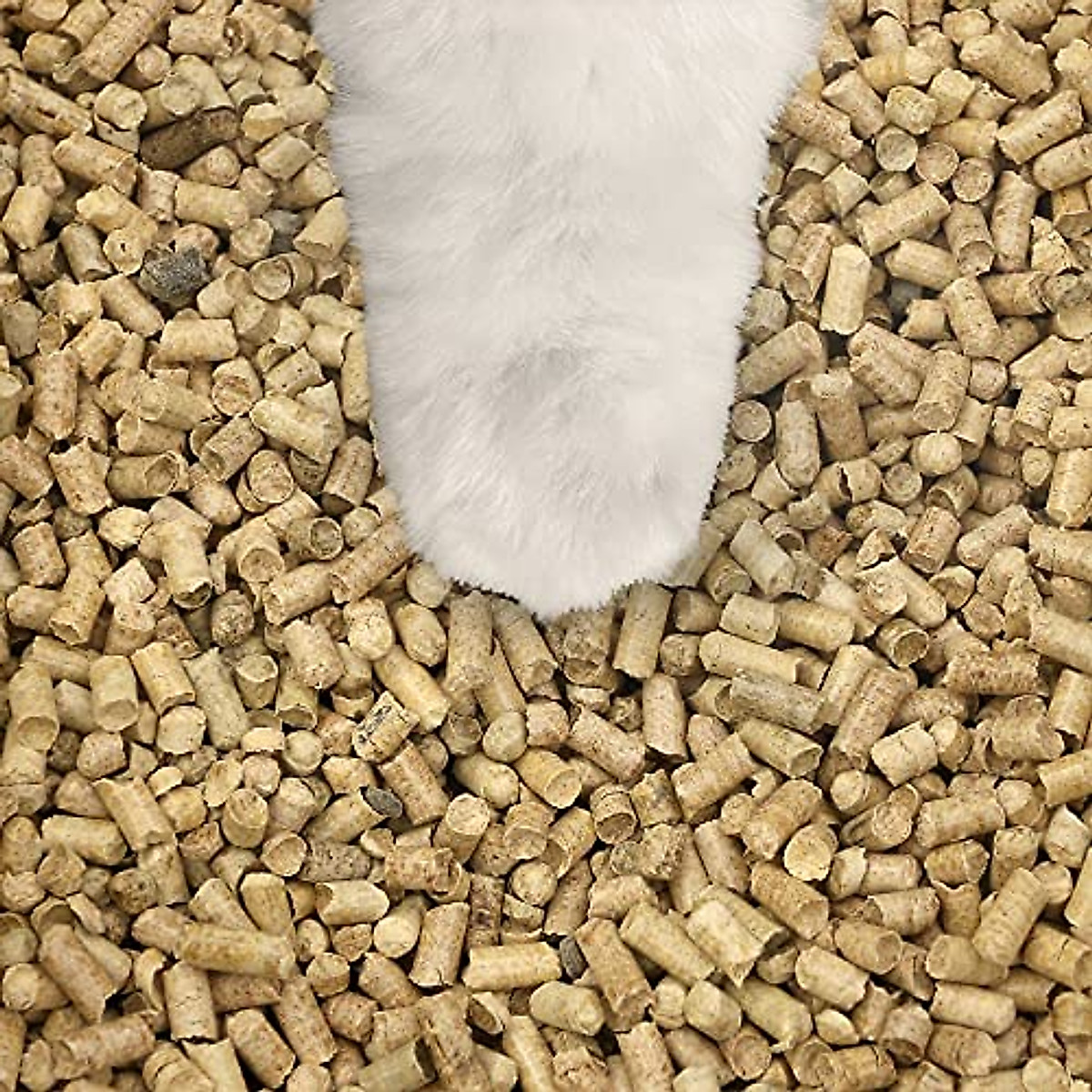 Casual Home 100% Natural Pine Wood Non-Clumping Cat Litter Wood Pellets