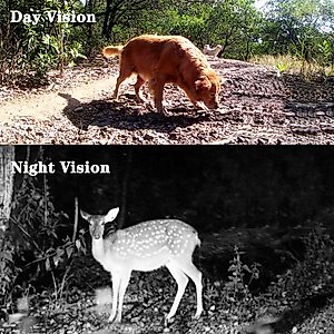 GoldPaddy Trail Game Camera 4K 20MP, Hunting Camera with Night Vision Motion Activated Waterproof Camera 0.2s Trigger Time Scouting Cam 2.4” LCD IR LEDs 120° Wide Angle for Wildlife Home Monitoring