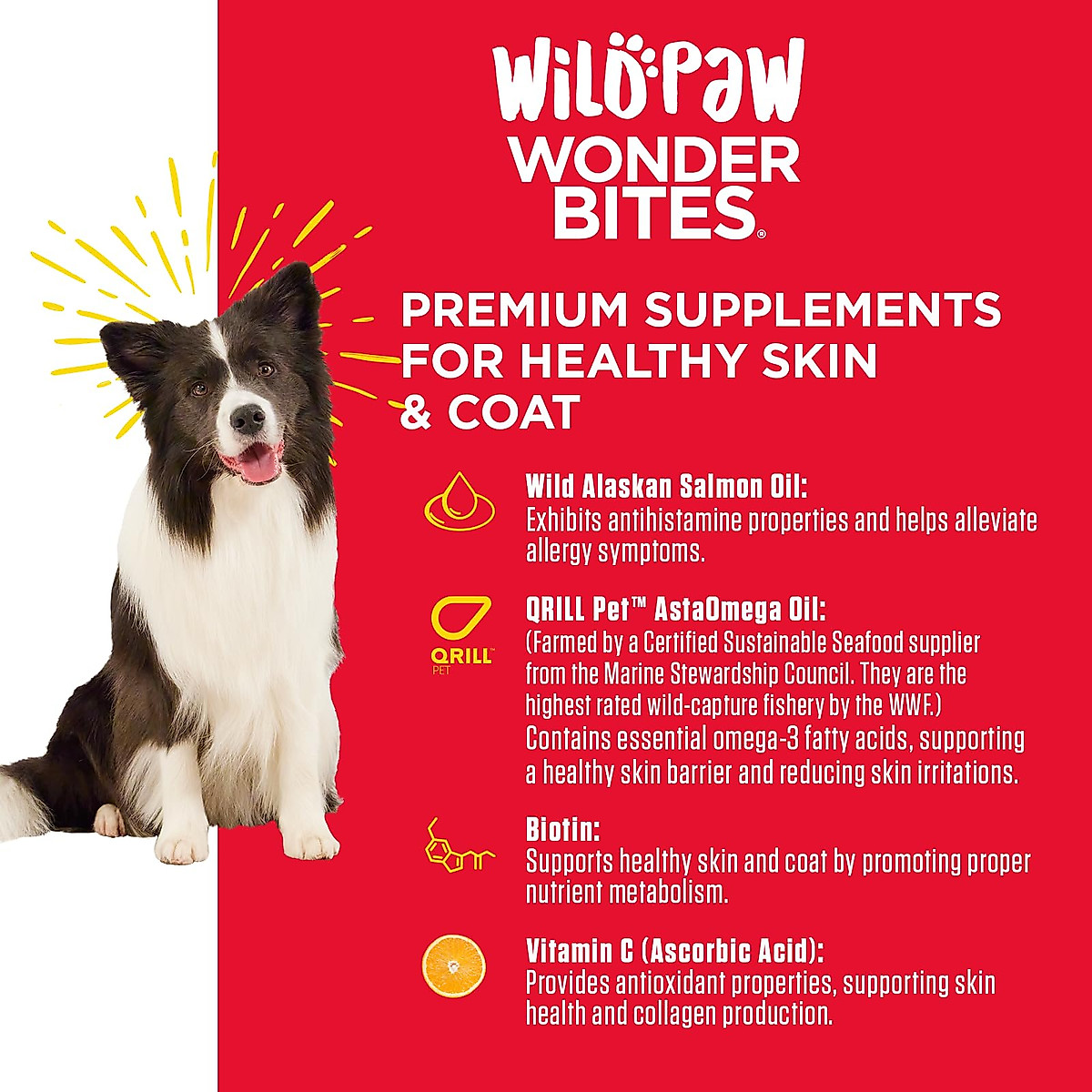 Wildpaw WonderBites for Healthy Skin and Coat - Skin & Coat Health Supplement for Dogs - Salmon Fish Oil Supplement - Hemp Chews for Dogs with Zinc - 90 Soft Chews