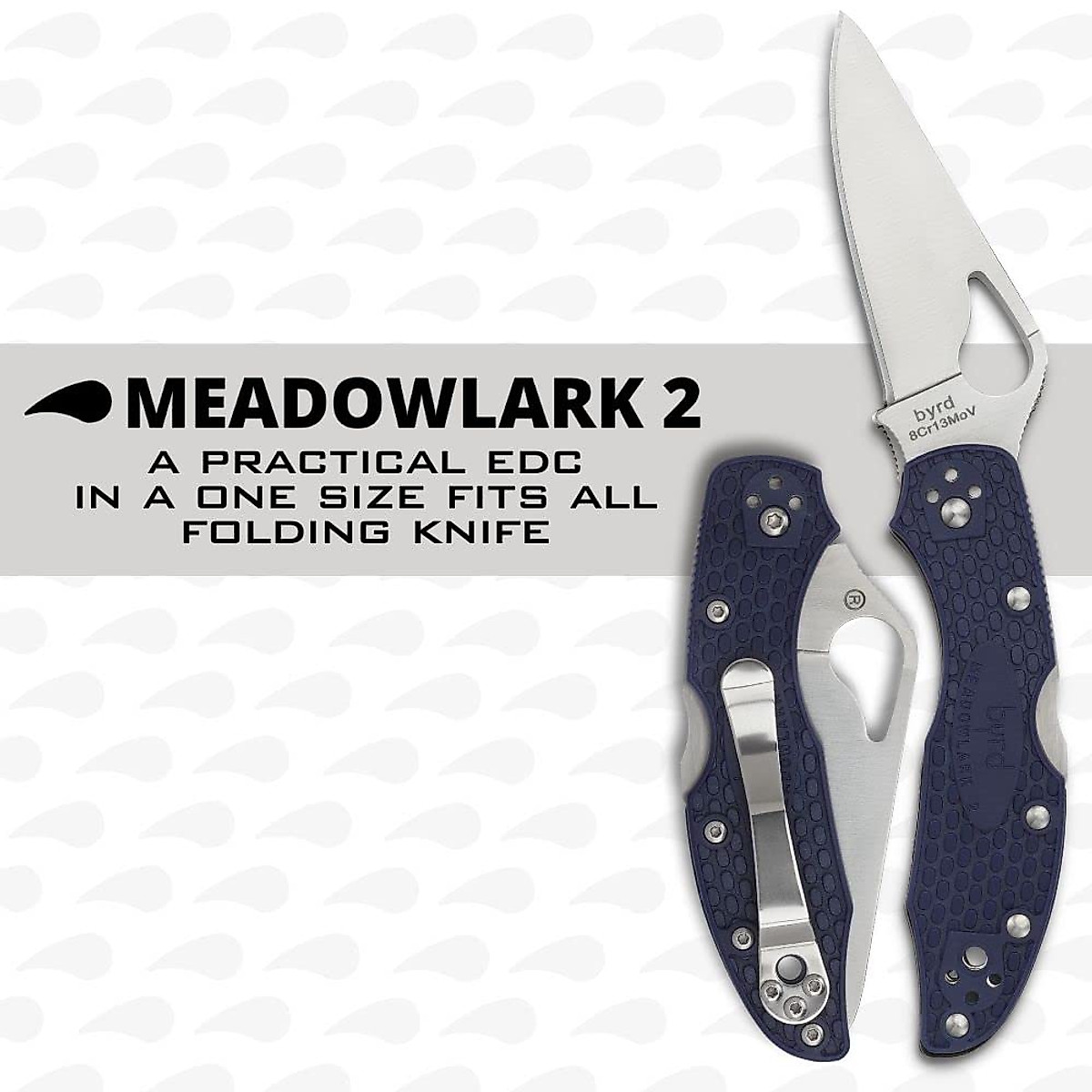 Spyderco Byrd Meadowlark 2 Lightweight Folding Utility Knife with 2.90" Stainless Steel Blade and Blue Non-Slip FRN Handle - Everyday Carry - PlainEdge - BY04PBL2