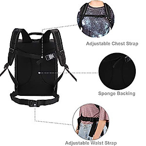 Apollo Walker Pet Carrier Backpack for Large/Small Cats and Dogs, Puppies, Safety Features and Cushion Back Support for Travel, Hiking, Outdoor Use (Black)