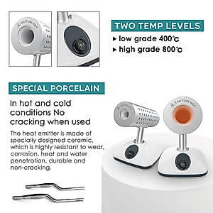 Lab DS-900 Infrared Sterilizer Autoclave Sterilizers Two Adjustable Heating Temperatures 400°C/825°C for Scalpel Needle Inoculating Loop Vaccination Ring,110V 150W