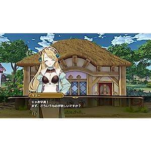 Nelke & The Legendary Alchemists: Ateliers of The New World - Nintendo Switch