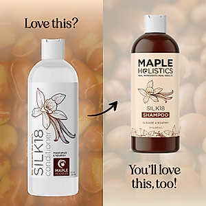 Hair Conditioner for Damaged Dry Hair - Silk Protein Conditioner for Dry Hair Frizz Control & Shine - Hydrating Conditioner for Curly Hair with Argan Oil and Hair Moisturizer for Dry Hair Care