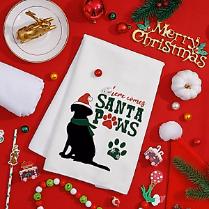 AnyDesign Christmas Kitchen Dish Towel Dog Cat Pet Lover Owner Gifts Funny Cute Xmas Hand Drying Tea Towels Ultra Absorbent Holiday Cloth Towel for Cooking Baking, 18 x 28 Inch, 2 Pack