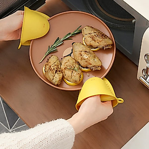 KOWVOWZ Novelty Cute Pinch Grips Oven Mitts Finger Protector Silicon Anti Heating Brown Cony Sally Kawaii (CONY)