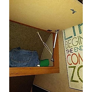 2Pcs 40N/8.8lb Gas Strut Lift Support Cabinet Door Lift Pneumatic Support(Silver)