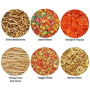 Treat Assortment 6 Pack - Pet Treat with Mix of Dried Fruits, Dried Insects, & Other Crunchies - For Sugar Gliders, Hedgehogs, Squirrels, Rabbits, Marmosets, Rats, Hamsters - Sample Variety
