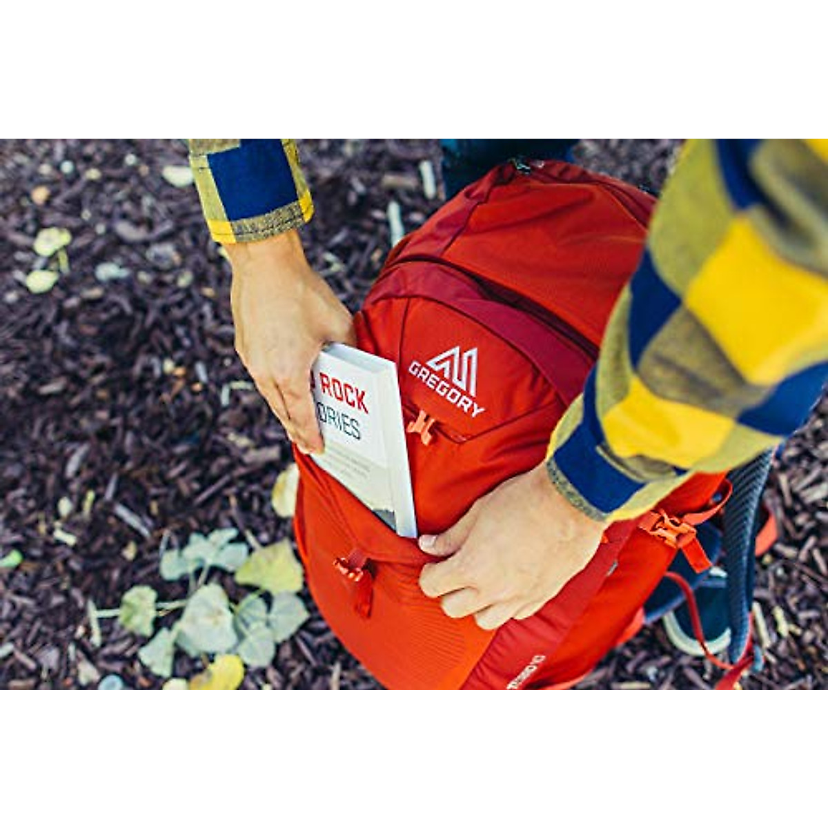 Gregory Men's Backpack, Orange (Ferrous Orange), One Size