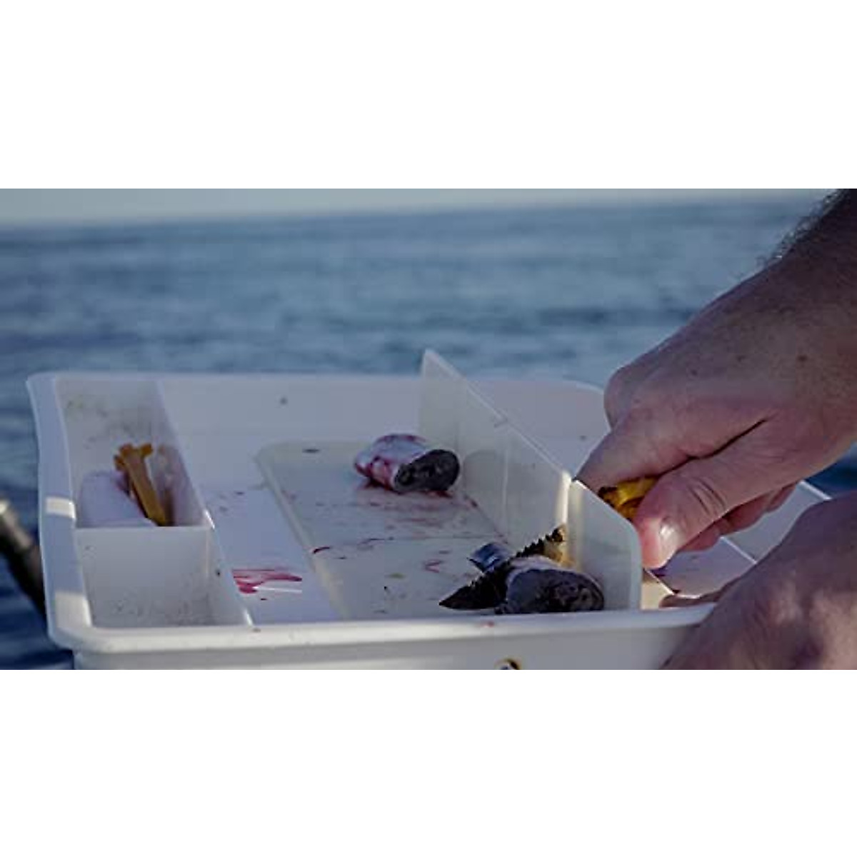 Angler's Choice BAITCUTTER Sea Time Bait Cutter