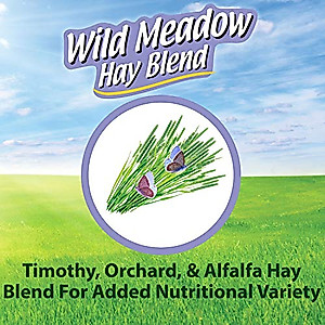 Kaytee Wild Meadow Grown Hay Blend