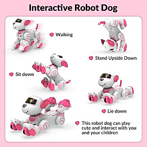 STEMTRON Programmable Remote Control Robot Cat Robot Dog for Kids, Interactive Robotic Dog Robotic Cat, Robo Dog Robo Cat, RC Robot with Touch Sensing, LED Eyes, Dance & Music