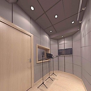 MYOYAY 12 Pack Acoustic Foam Panels Sound Absorbing Wall Panels 16x12in Sound Proofing Studio Wall Padding Noise Absorbing Treatment Board for Home Office Sound Panels Noise Reducing For Walls