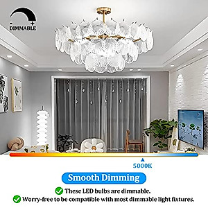 Odnora Dimmable E26 LED Bulbs 60W Equivalent 6W 850 Lumens Vintage LED Edison Bulbs, ST58 5000K Daylight White Edison Light Bulbs, Antique LED Filament Bulb with Clear Glass, 4 Packs