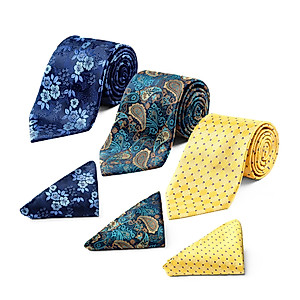 HISDERN Lot 3 PCS Classic Men's Tie Set Necktie & Pocket Square Elegant Neck Ties Collection,T3-08,One Size