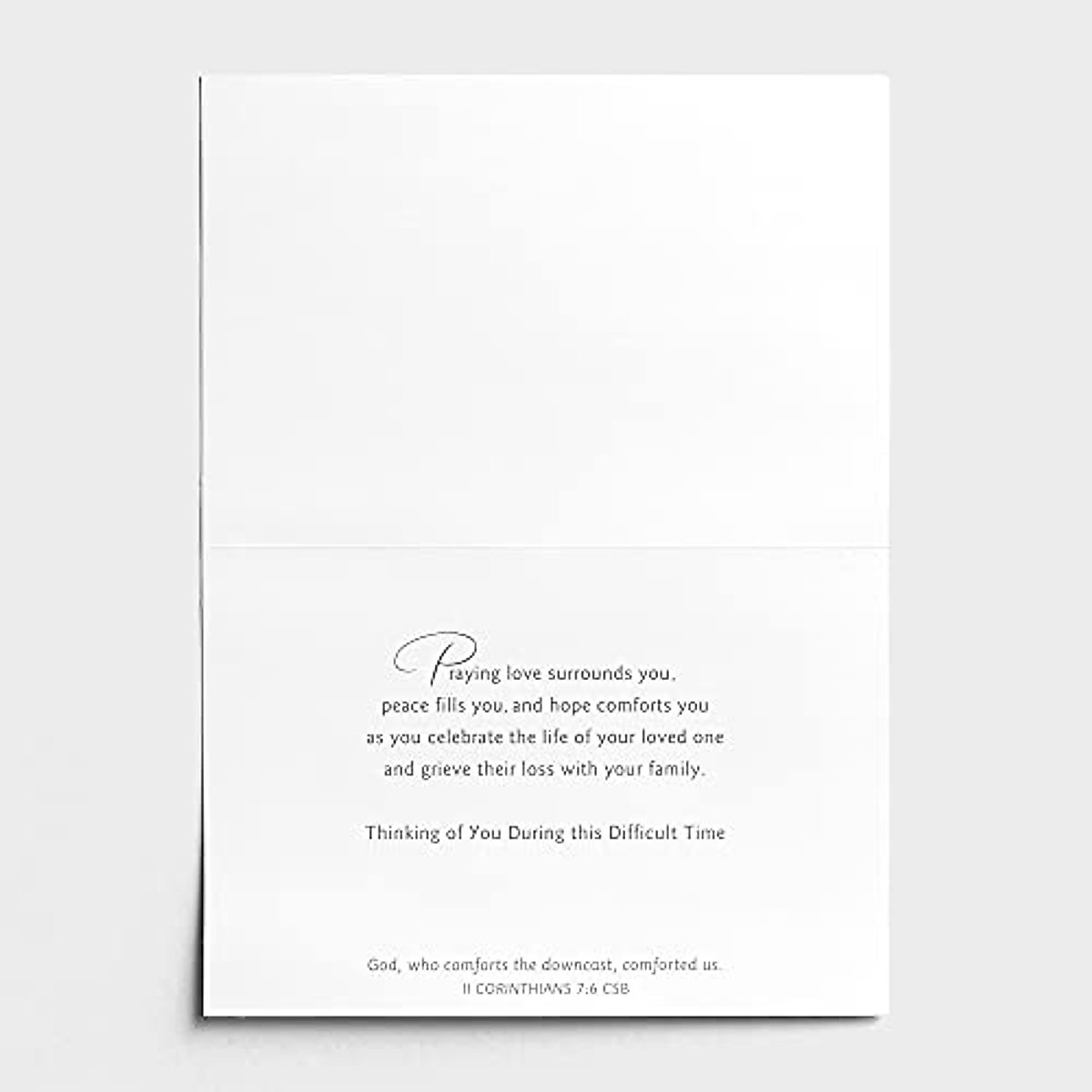 DaySpring - With Heartfelt Sympathy and Prayers - Nature's Blessings By Marjolein Bastin - 4 Design Assortment with Scripture - 12 Boxed Cards & Envelopes (J3355)
