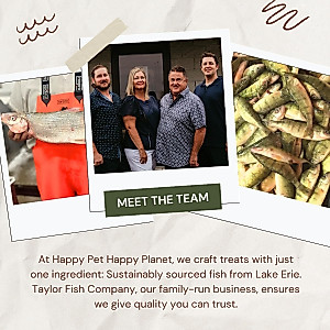 Fish Dog Treats For Small, Medium, Large Dogs - One Ingredient All Natural Organic Dog Training Treats - Human Grade, High Protein, Low Fat, Omega3, Grainfree - Satisfies Dog's Urge to Chew (4oz Bag)