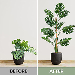 K-Brands 2 Pack Moss Pole - 63'' Bendable Monstera Plant Support - Moss Poles for Climbing Plants Monstera - Plant Pole Plant Sticks Support - Plant Stakes kit for Indoor Plants