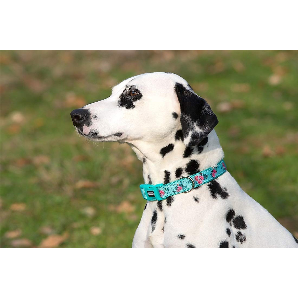 YUDOTE Floral Dog Collars Adjustable Nylon Collar with Quick Release Buckle for Female & Male Dogs, Green,Large