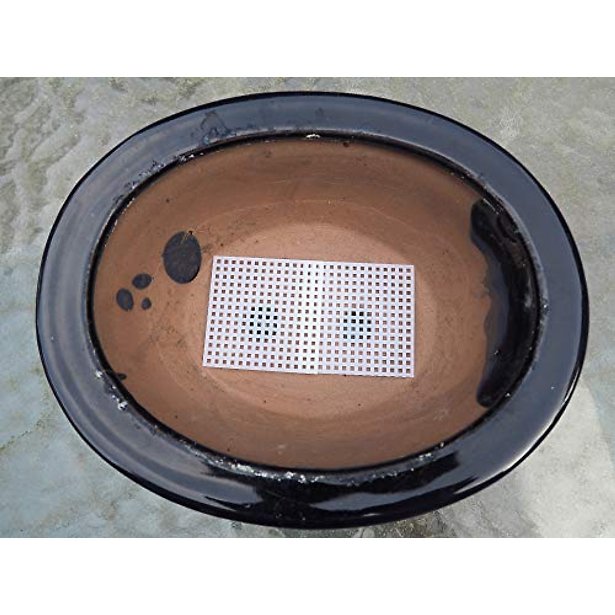 Grow A Bonsai Tree 50 Count 2x2 Inch Rigid Bonsai and Flower Pot Drainage Mesh Screens