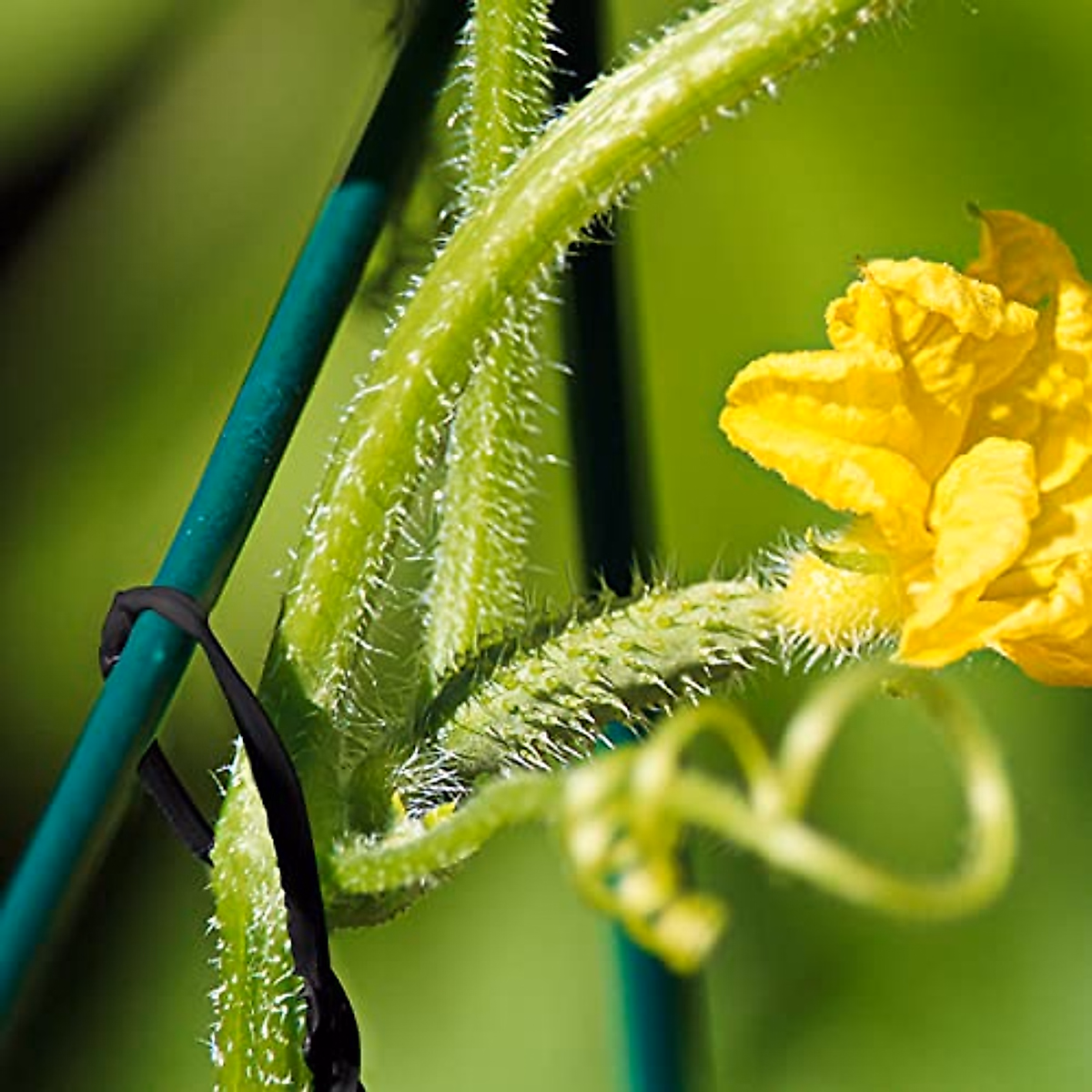 defutay 1000PC Twist Ties Plastic Black Twist Ties Garden Plant Support Cable Cord Ties, Suit For Tie air pipes, Power cords, Plug-in cables, vegetable and fruit baskets (Black)