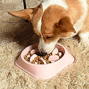 FUUIE Bowls for Food and Water Portable Pet Dog Feeding Food Bowls Puppy Slow Down Eating Feeder Dish Bowel Prevent Obesity Dogs Supplies (Color : Blue)