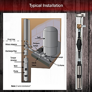 Red Lion RL12G07-2W2V 4-inch Submersible Deep Well Pump, 3/4 HP, 12 GPM 2-Wire, 230 Volts, Steel, 14942403