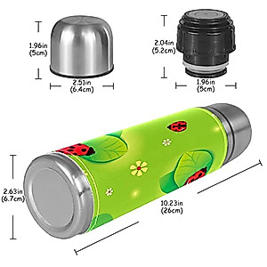 Insulated Water Bottle Stainless Steel Water Bottles Metal Water Bottle, Spring Ladybug Flower Leaves