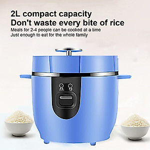 DEPILA 2L Car Mini Rice Cooker for Truck RV Marine Travel, 24V Rice bucket