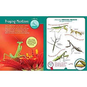 Backpack Explorer: Bug Hunt: What Will You Find?