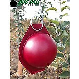 Bug Ball (25 Pack) Apple Maggot Trap Starter Kit - with NO Pesticides, Made in the USA