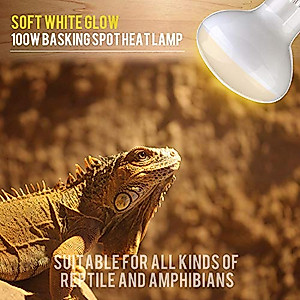 Reptile Heat Lamp Bulb 100W, Daylight Bulb for Reptile ,Basking Spot Heating Light UVA Glass Heat Bulb Soft White Bulb for Bearded Dragon Lizard Turtle -2 Pack