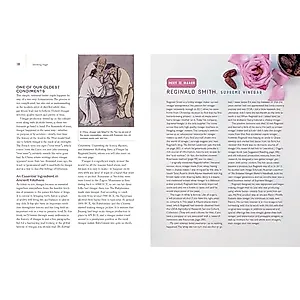 Homebrewed Vinegar: How to Ferment 60 Delicious Varieties, Including Carrot-Ginger, Beet, Brown Banana, Pineapple, Corncob, Honey, and Apple Cider Vinegar