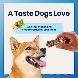 Blue Buffalo Medium Dental Chews for Dogs, Daily Dental Care Dog Treats Made in the USA with Natural Ingredients, Chicken & Spearmint (14 Count)