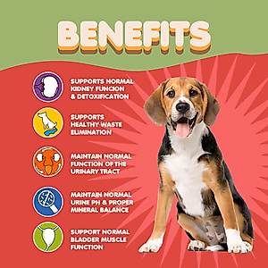 Dog Cranberry Supplement - Natural Dog UTI Treatment & Kidney Support for Dogs. Dog Supplement Powder Same as Cranberry Pills for Dogs. Puppy Supplies for Dog Pee Health - Dog Incontinence Product