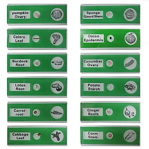 Prepared Microscope Slides Set of 48 pcs Animals Insects Plants Flowers Sample Specimens for Kids Education