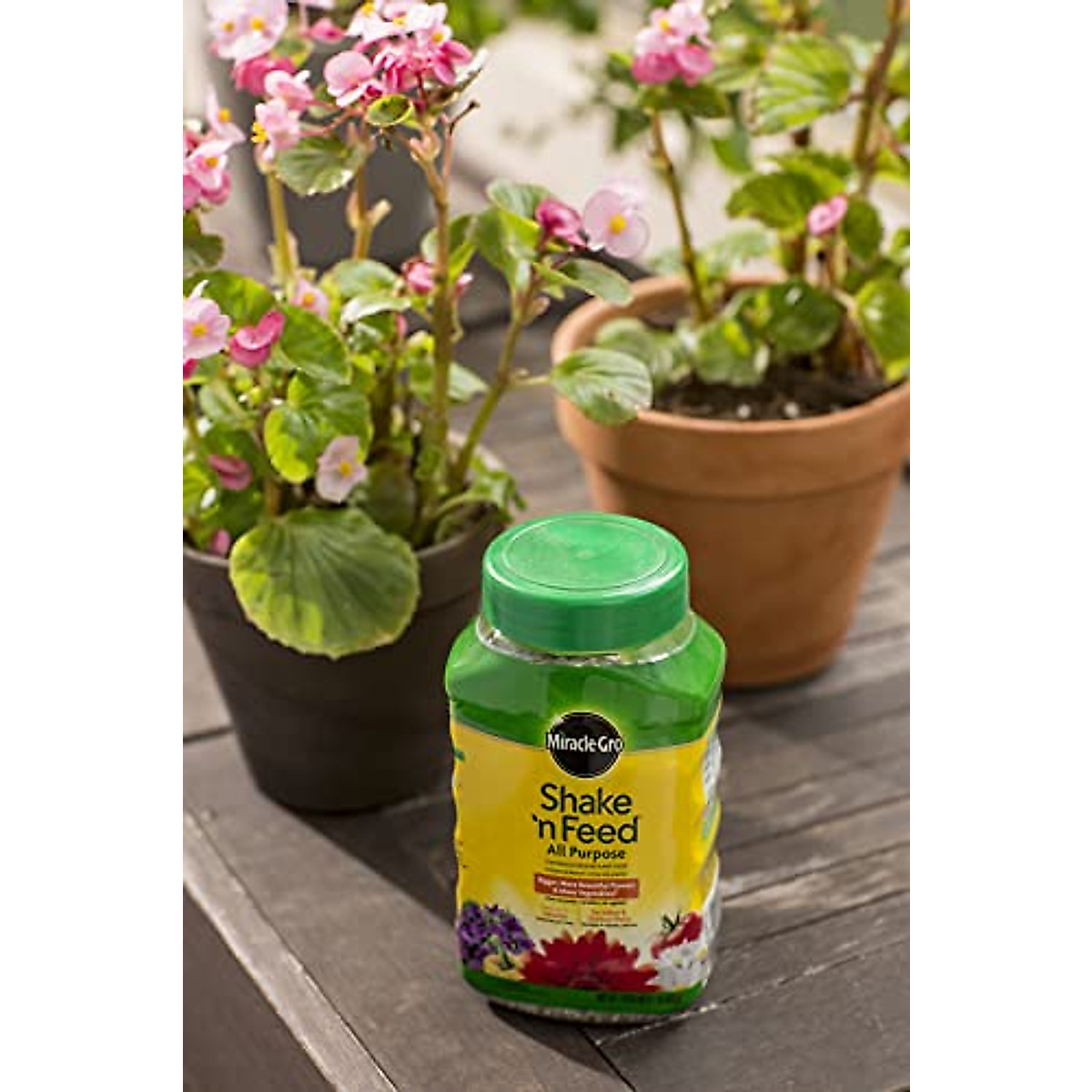 Miracle-Gro Shake 'n Feed All Purpose Continuous Release Plant Food, 1-Pound (Slow Release Plant Fertilizer)