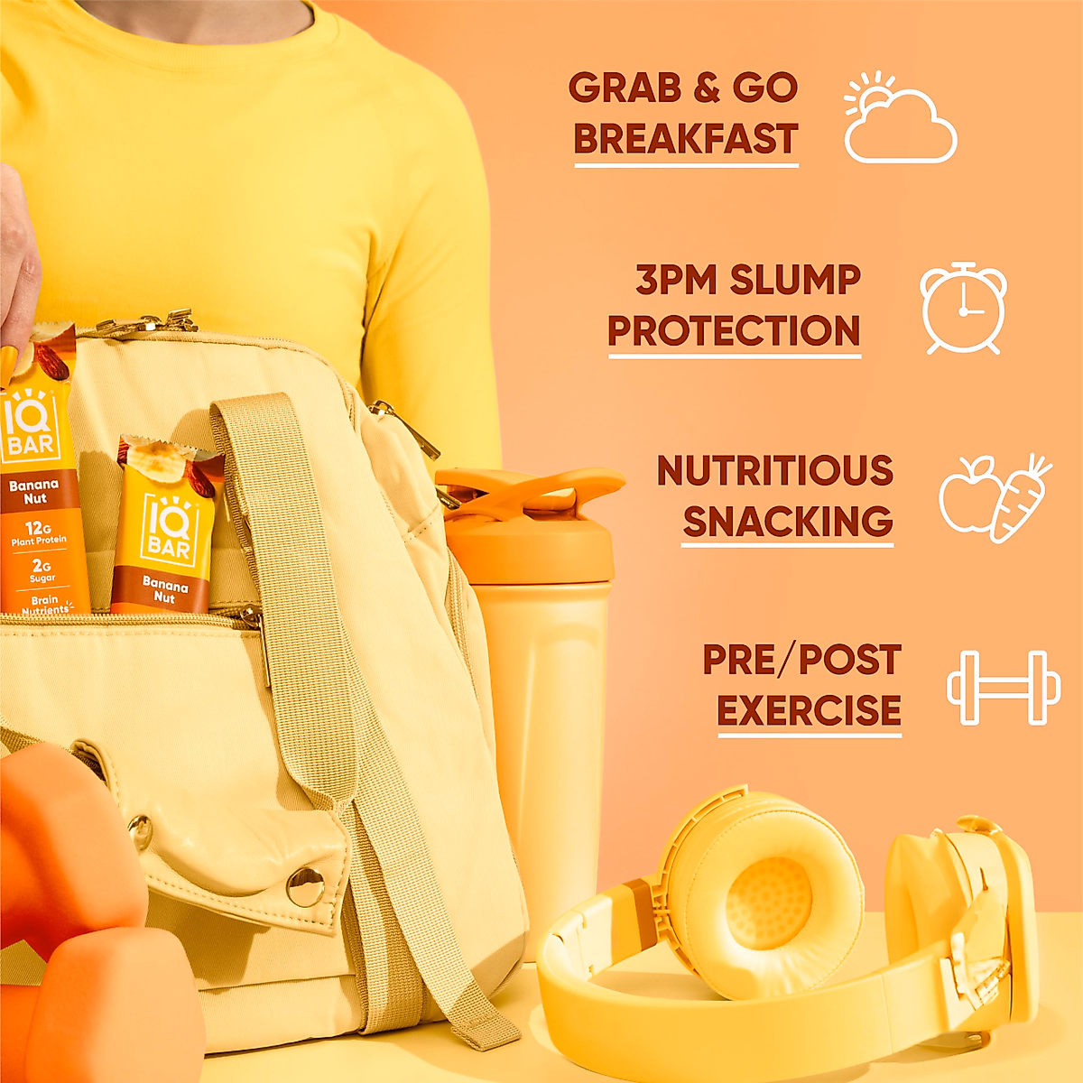 IQBAR Brain and Body Plant Protein Bars - Fruit Lovers Variety - 12 Count, Low Carb, High Fiber, Gluten Free, Vegan Snacks - Low Sugar Keto Bar Pack